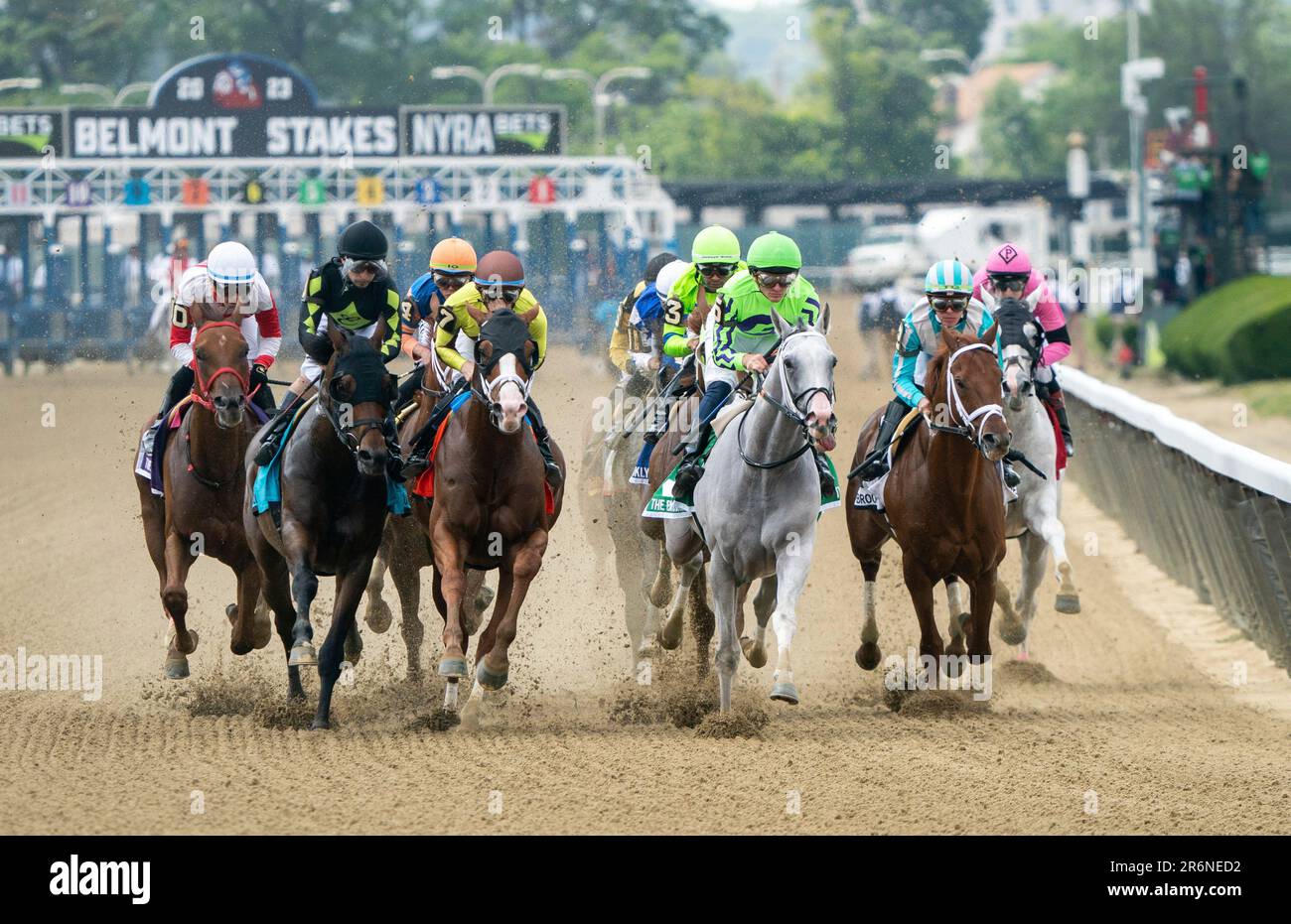 June 10, 2023, Elmont, NY, USA: Next (5) ridden by Luan Machado wins ...