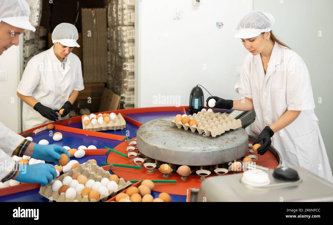 group of people in lab coats and hairnets doing egg quality control in ...
