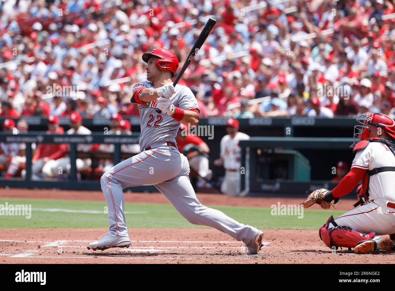 ST. LOUIS, MO - JUNE 10: Cincinnati Reds catcher Luke Maile (22 ...