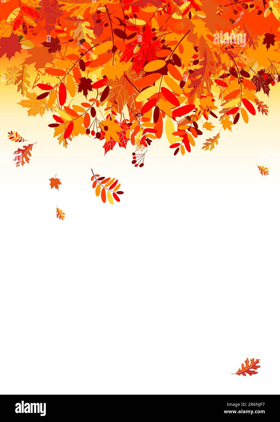 Autumn leaves background for your design Stock Vector Image & Art - Alamy