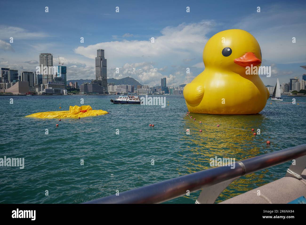 An enormous inflatable duck stations at Victoria Harbour while one is ...