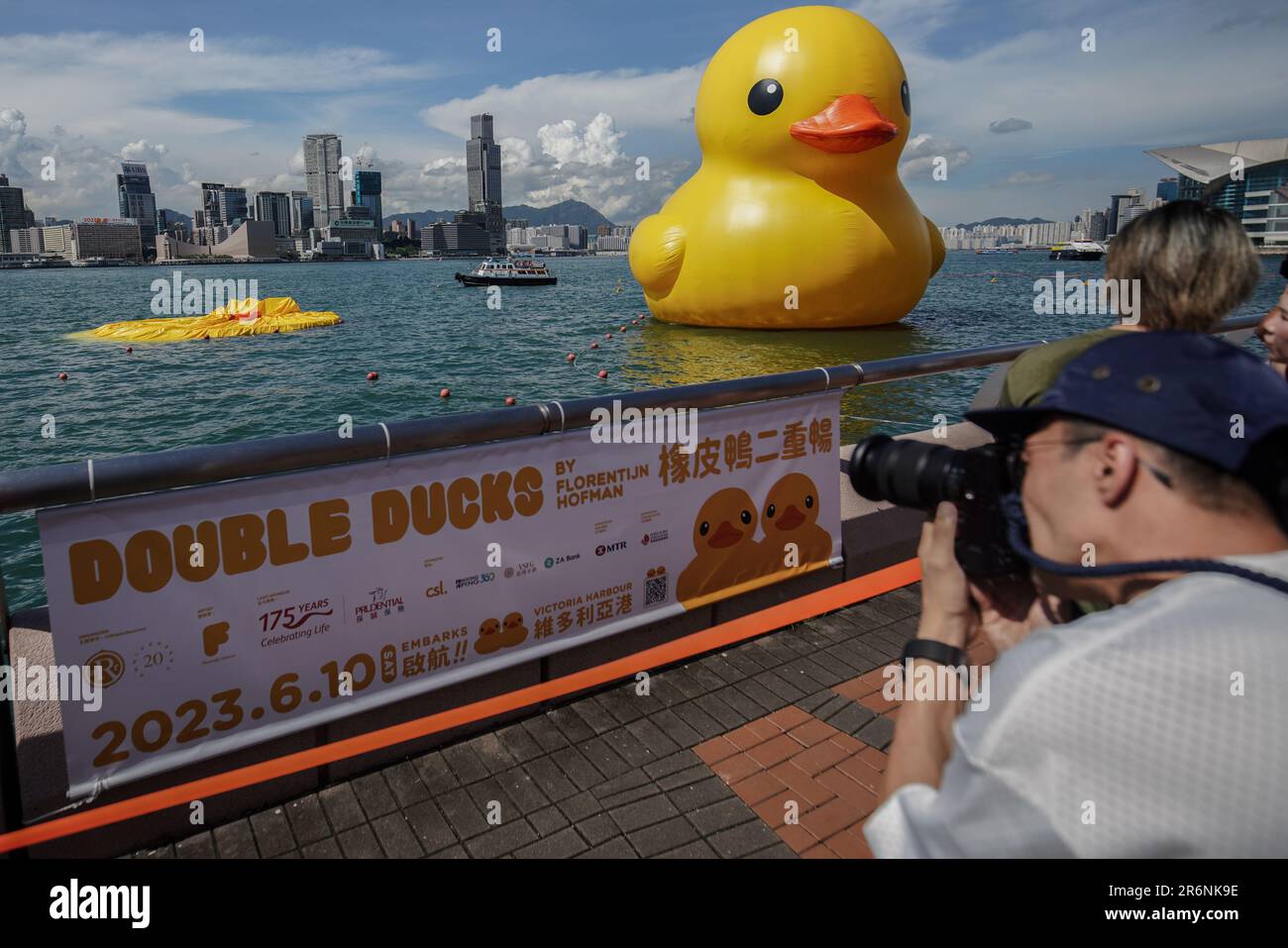 A man takes photos of an enormous inflatable duck which stations at ...