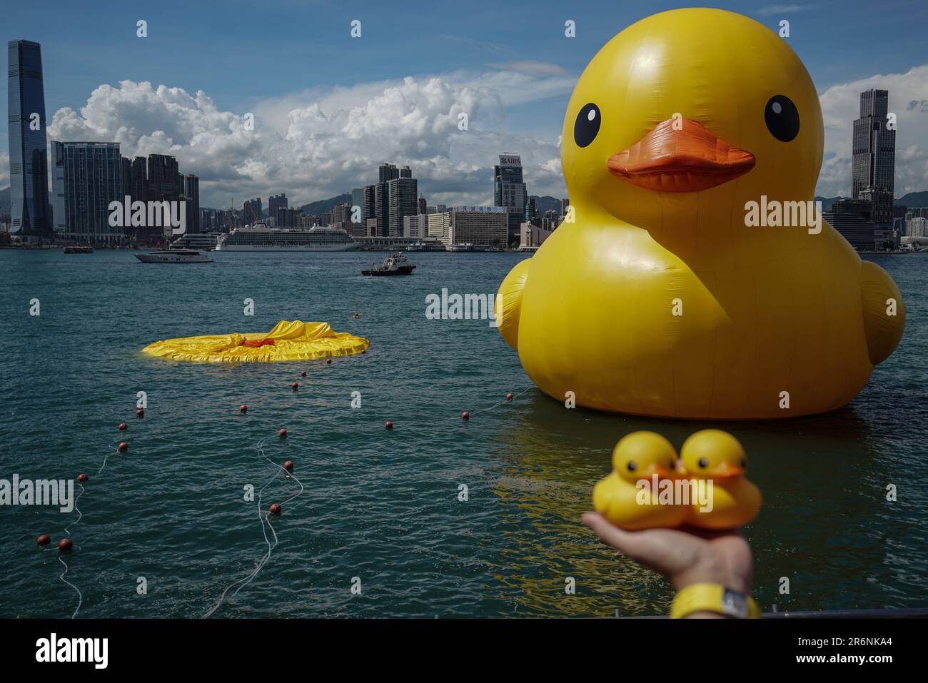 An enormous inflatable duck stations at Victoria Harbour while one is ...