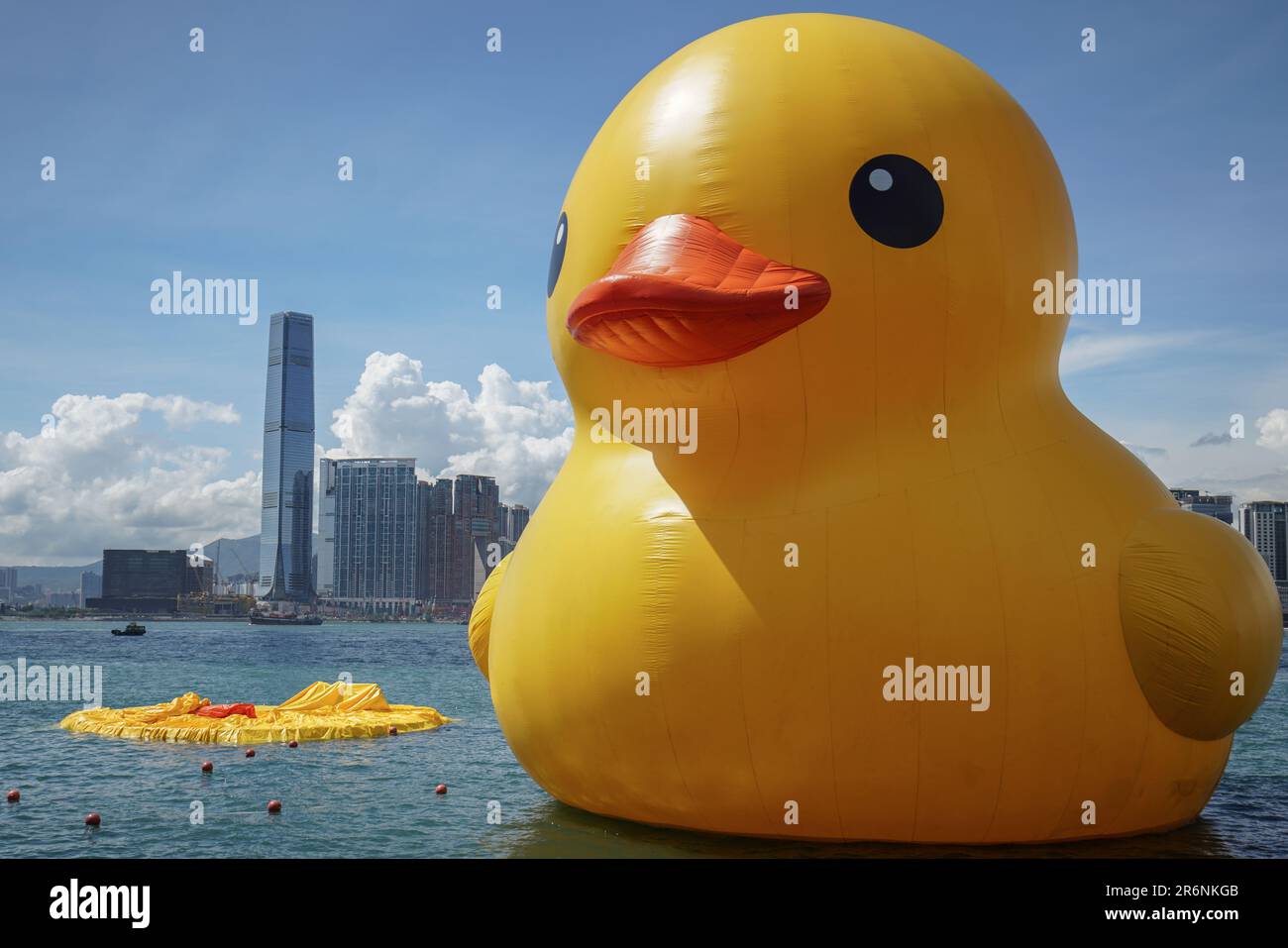An enormous inflatable duck stations at Victoria Harbour while one is ...