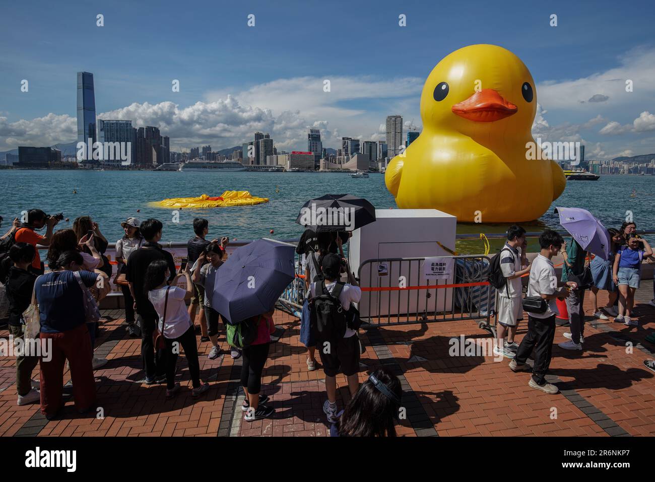 People visit and take photos in front of an enormous inflatable duck ...