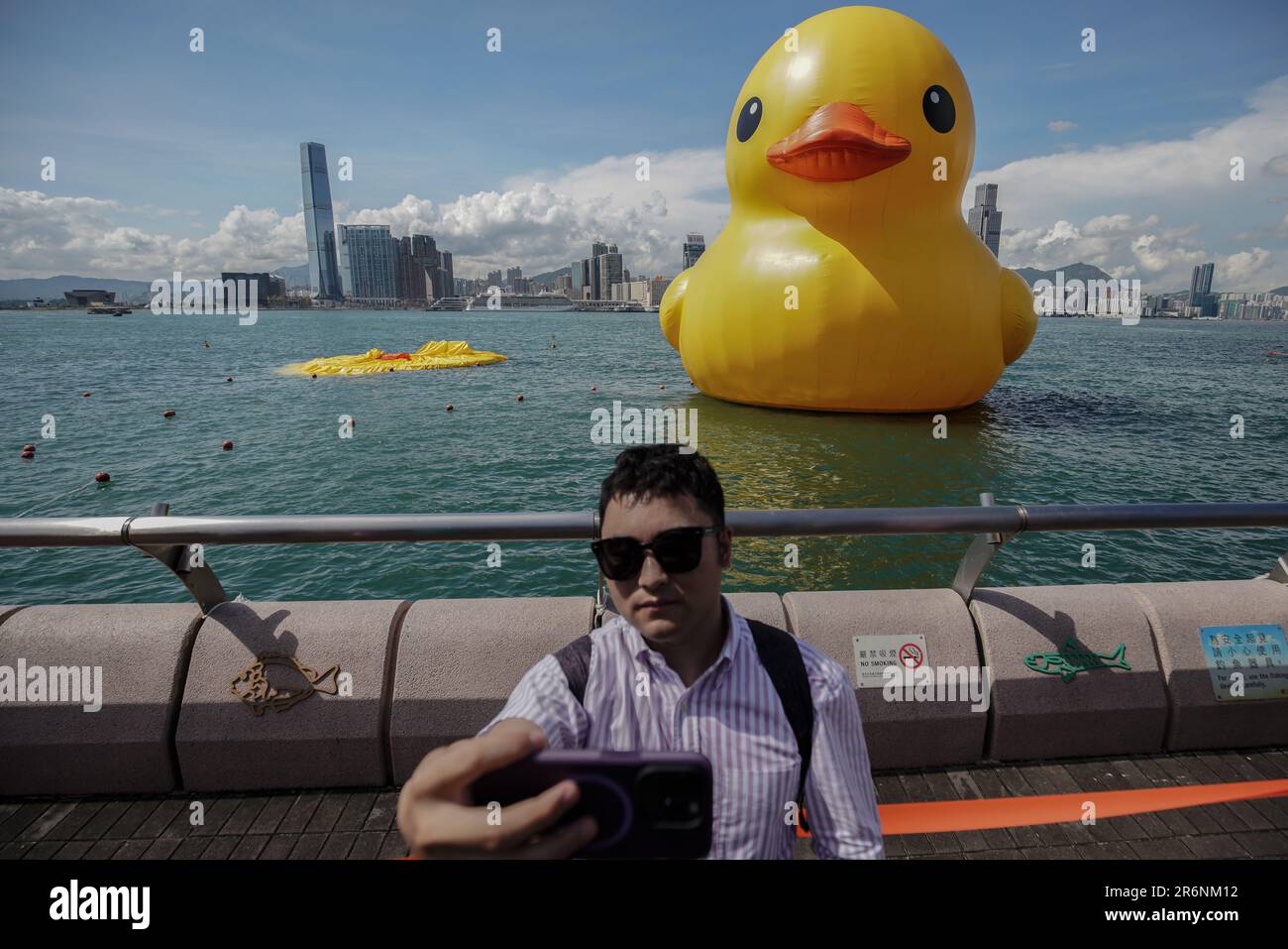 A man takes selfies in front of an enormous inflatable duck which ...