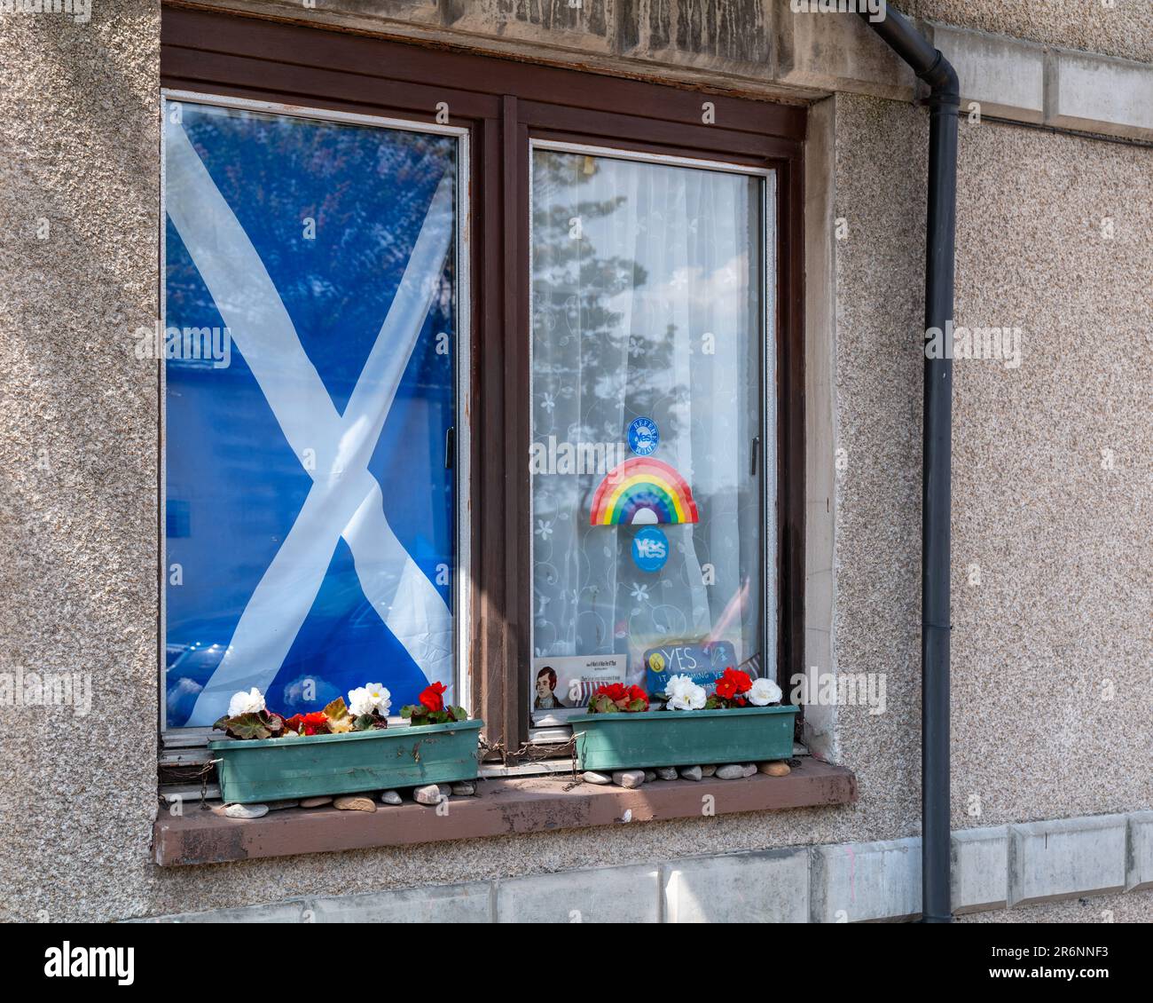 10 June 2023. Nairn,Scotland. This is a display in a window for Yes ...