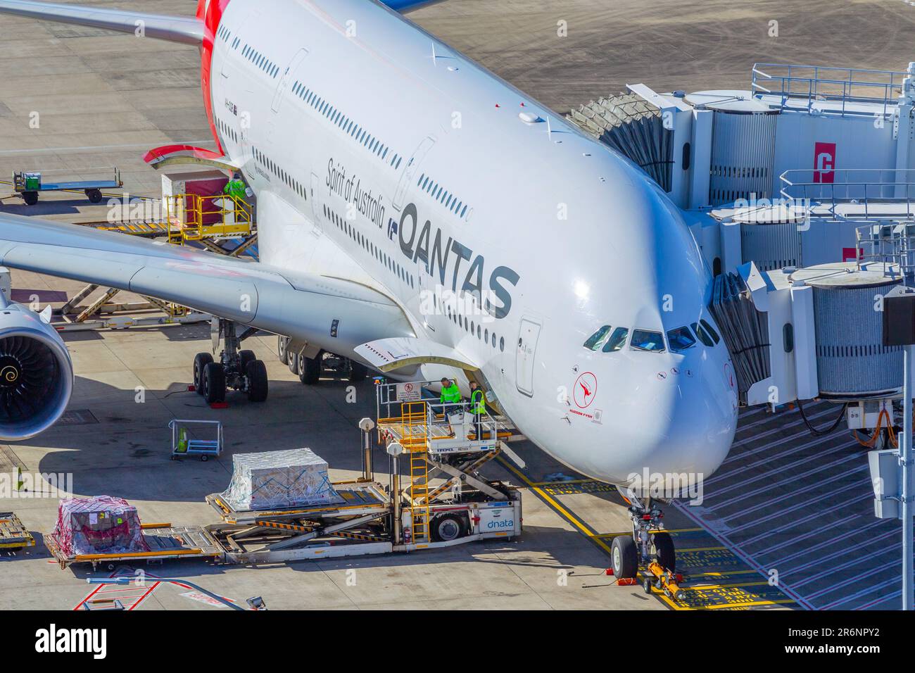 Cargo loading of a Qantas A380 passenger jet at Sydney (Kingsford Smith ...