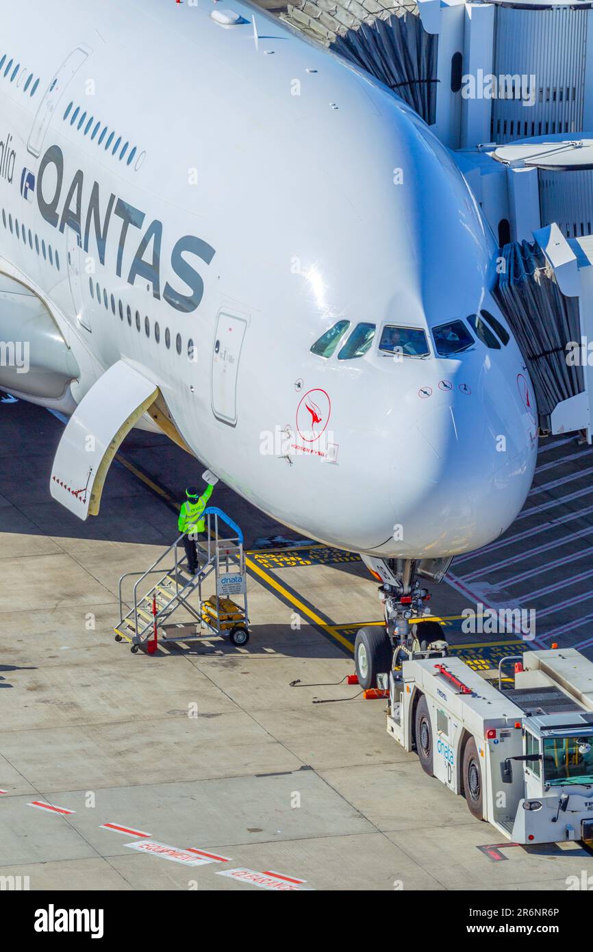 Cargo loading of a Qantas A380 passenger jet at Sydney (Kingsford Smith ...