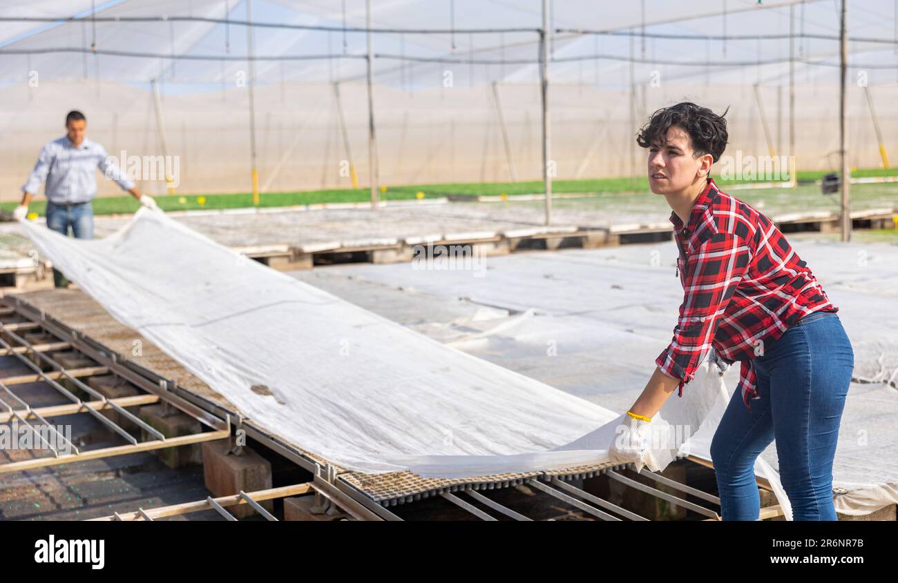 Focus on woman. Workers covers ground with plastic wrap to protect ...
