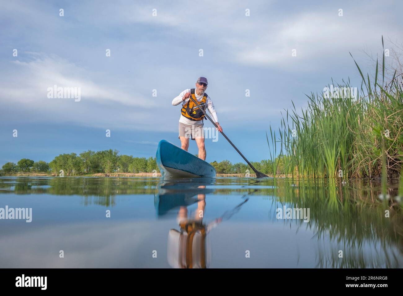 senior male paddler is paddling a stand up paddleboard on a calm lake ...