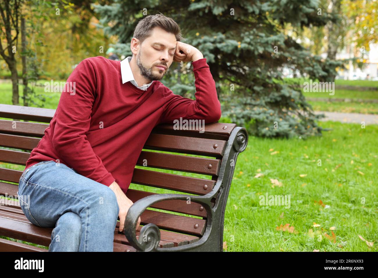 Tired man sleeping on bench in beautiful green park. Space for text ...