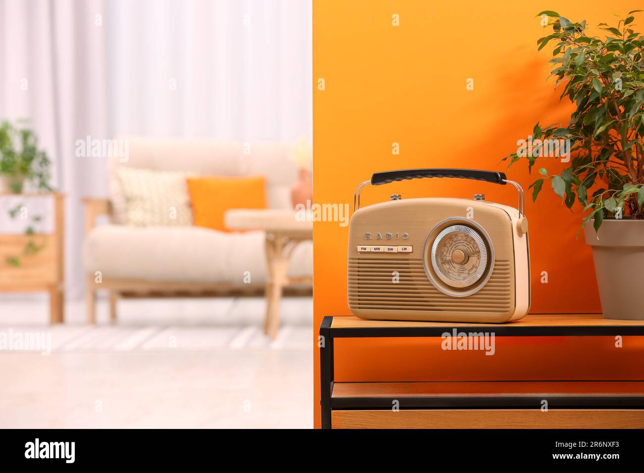 Retro radio receiver and houseplant on console table in stylish hallway ...