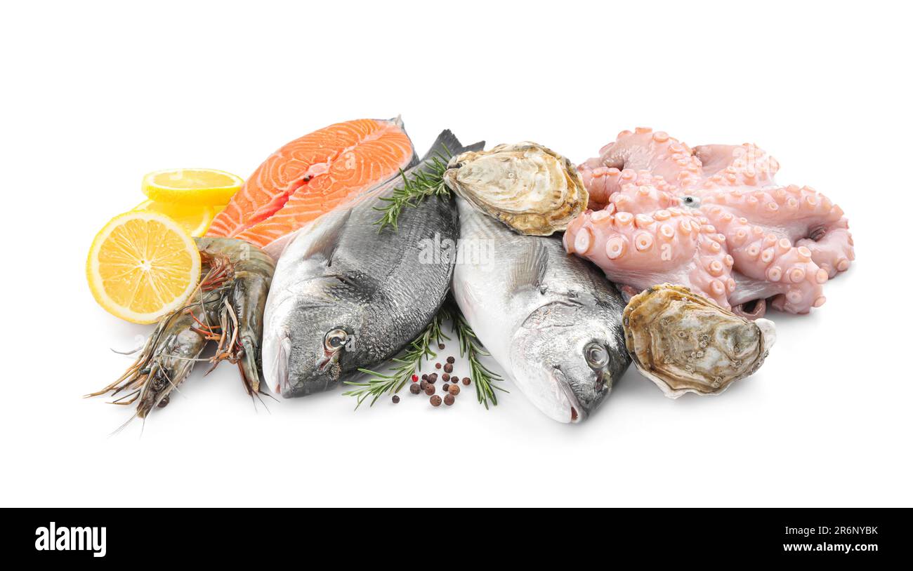 Fresh dorado fish, octopus, shrimps, oysters and salmon on white ...