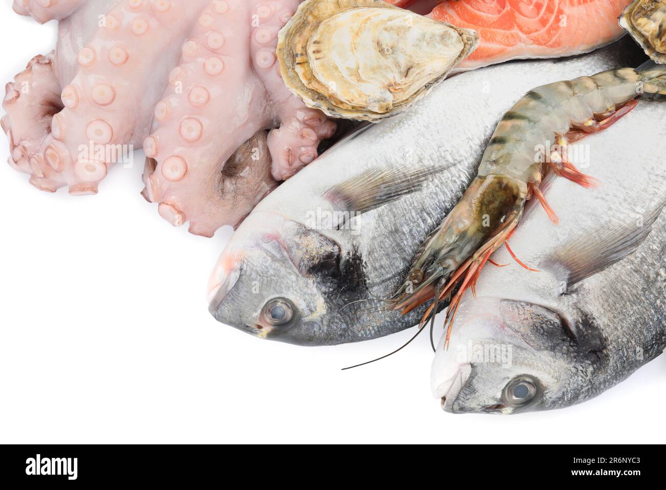 Fresh dorado fish, octopus, shrimp, oyster and salmon on white ...
