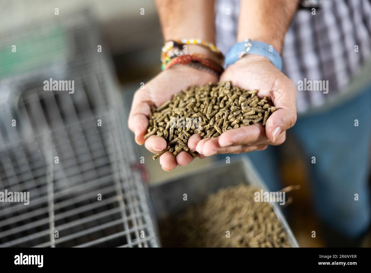 Farmer showing feed for animals in hands Stock Photo - Alamy