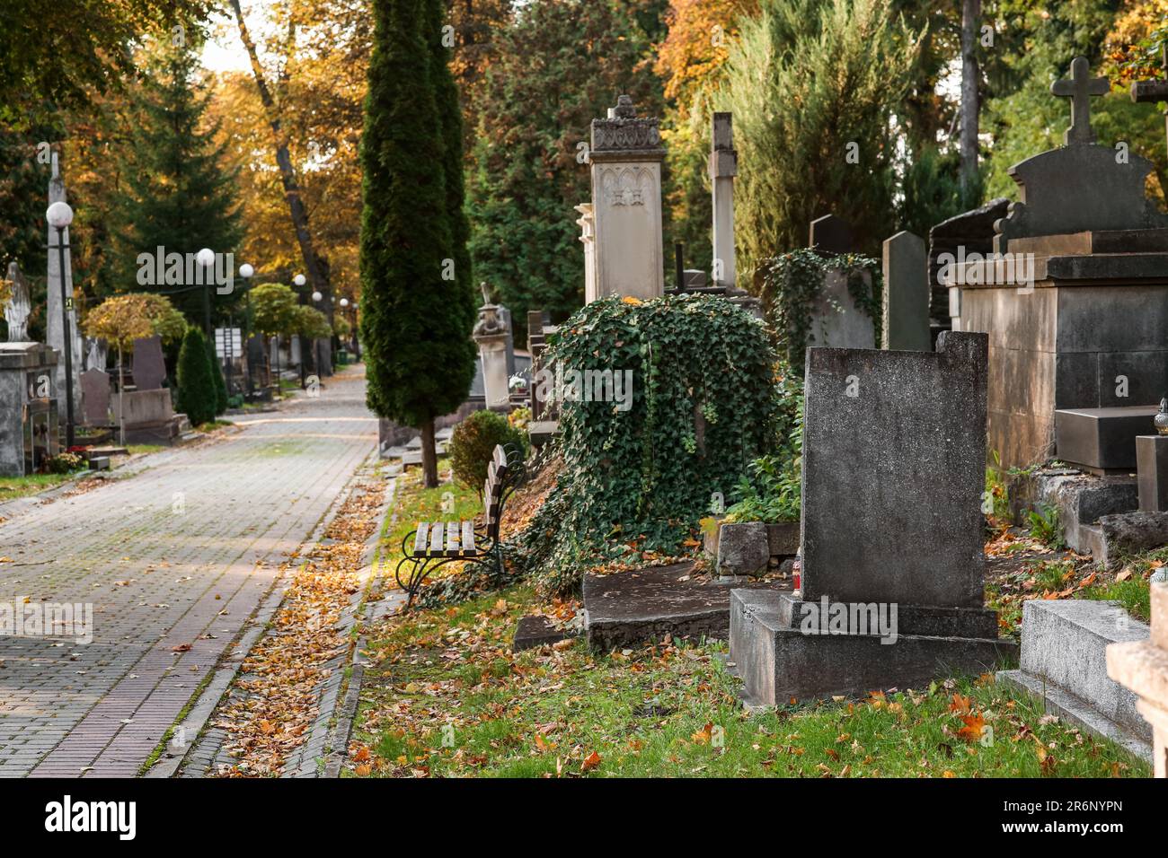View of cemetery with granite tombstones and paved footpath on sunny ...