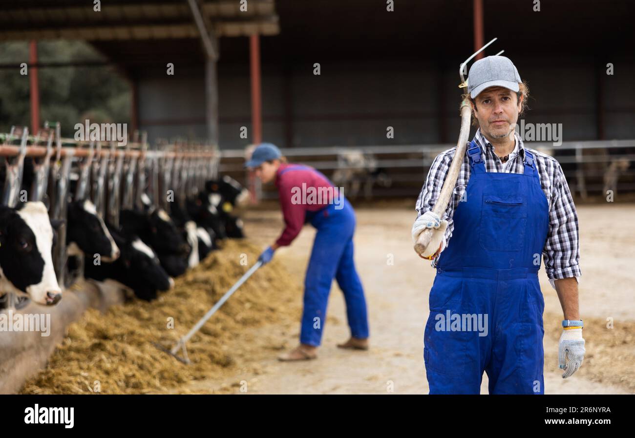 Lithuanian dairy farm hi-res stock photography and images - Alamy