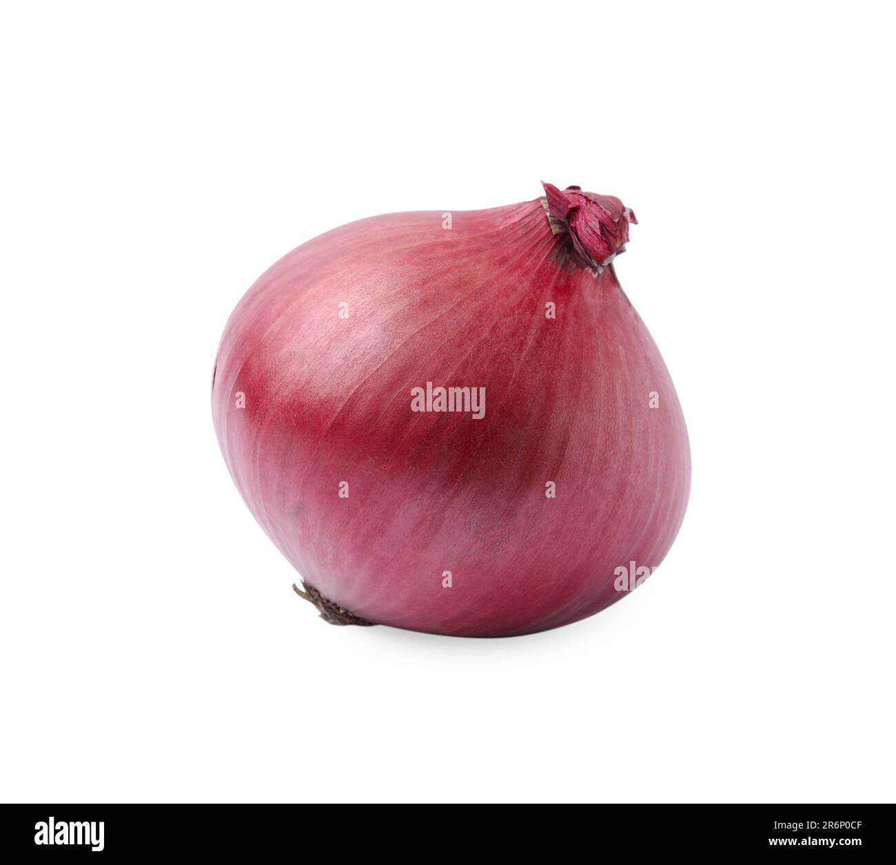 One fresh red onion on white background Stock Photo - Alamy