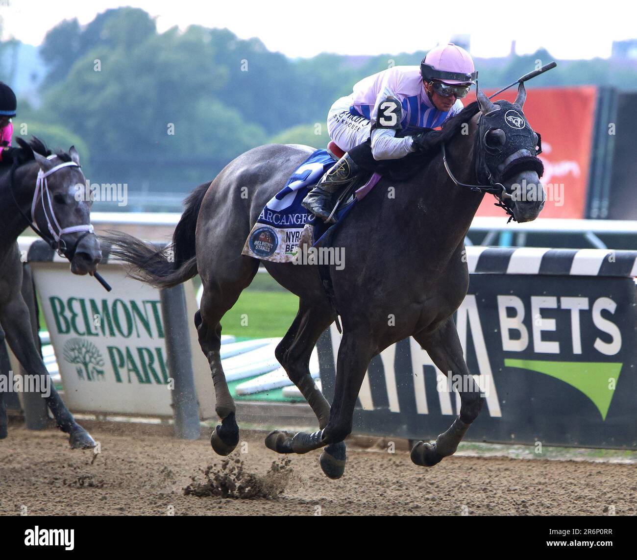 Arcangelo horse hi-res stock photography and images - Alamy