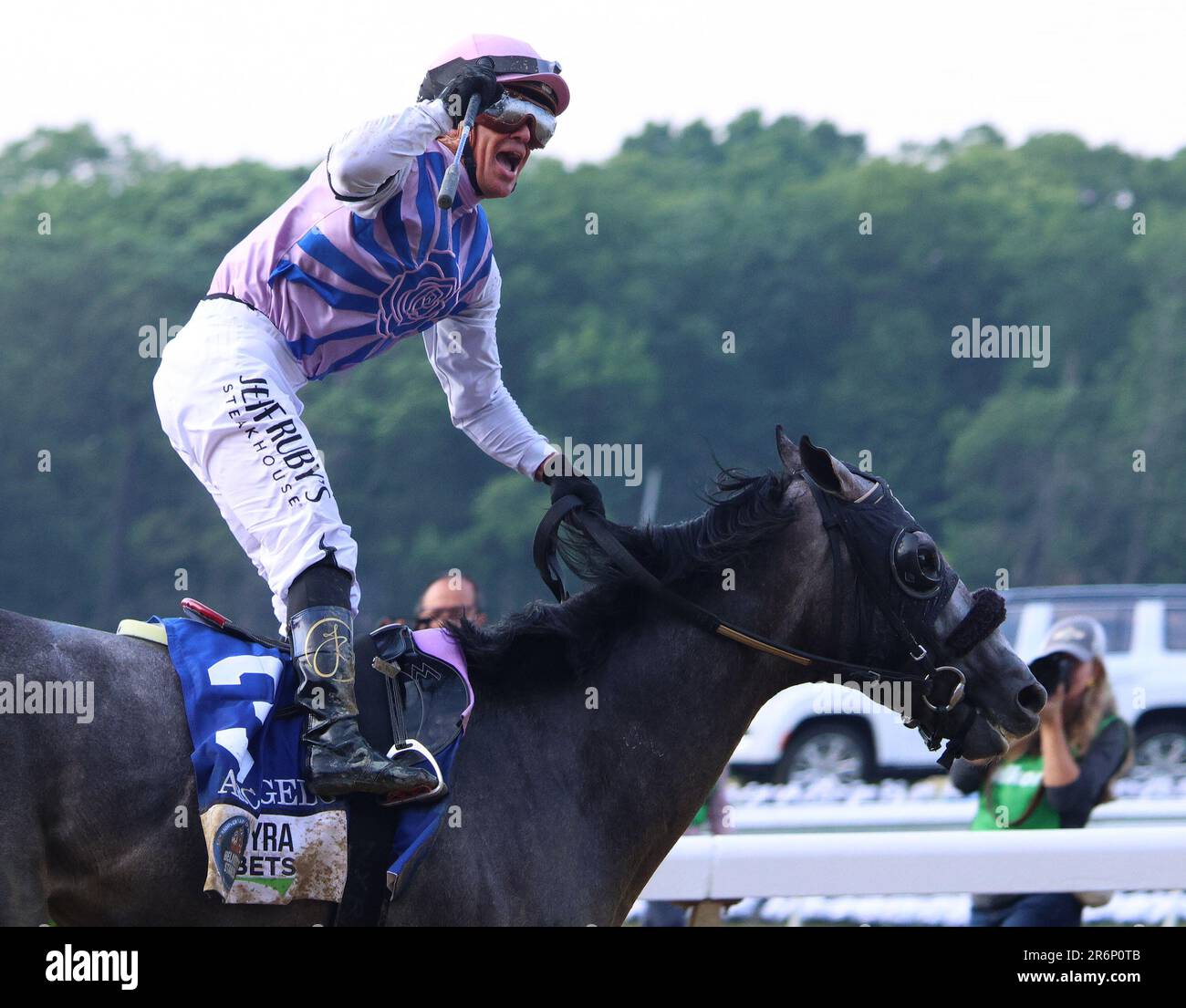 Arcangelo horse hi-res stock photography and images - Alamy