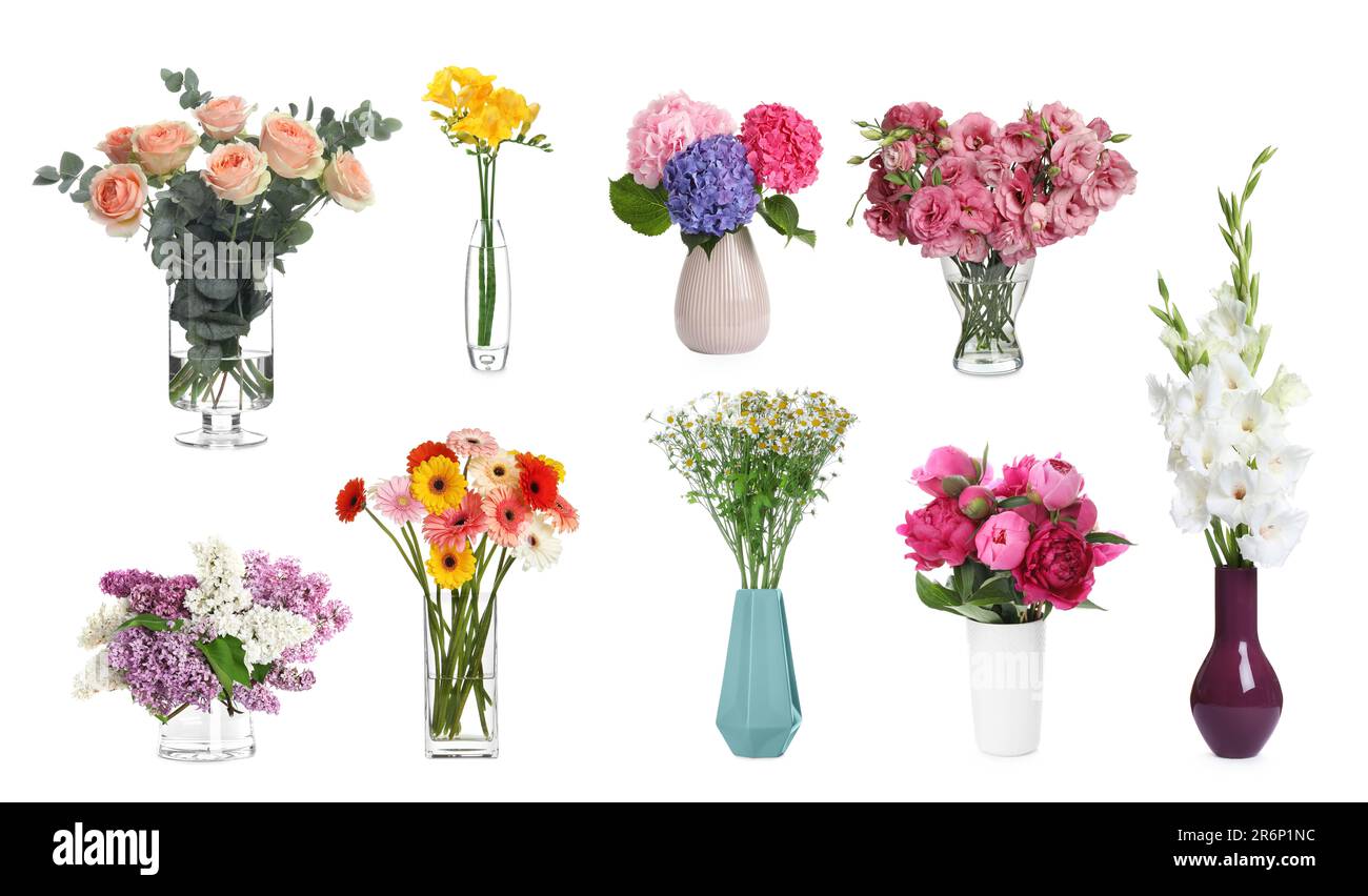 Collage with many beautiful flowers in different vases on white ...