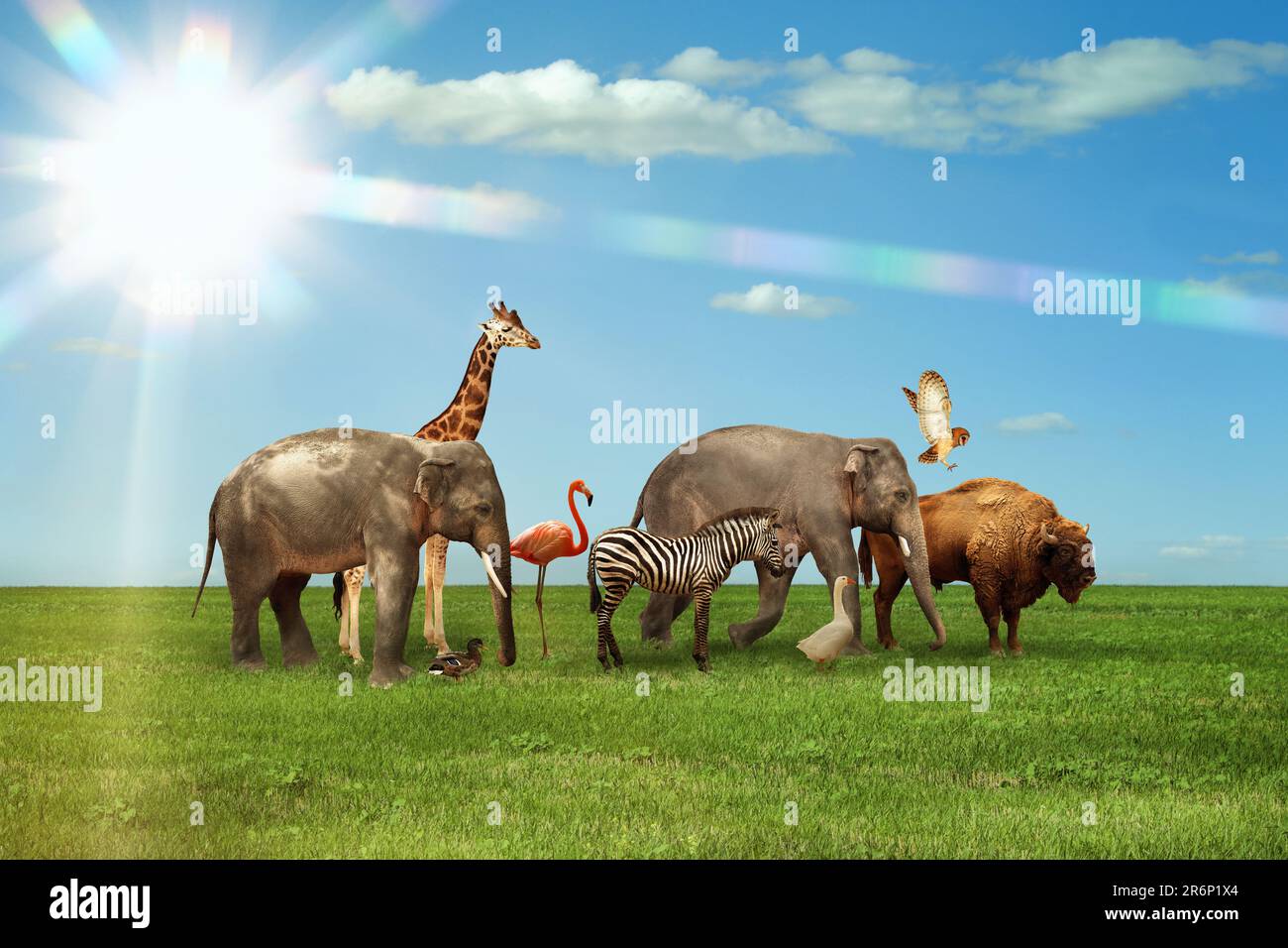 Zoo animals different together hi-res stock photography and images - Alamy
