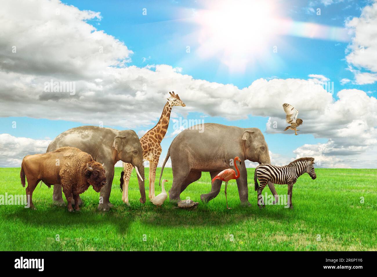 Zoo animals different together hi-res stock photography and images - Alamy