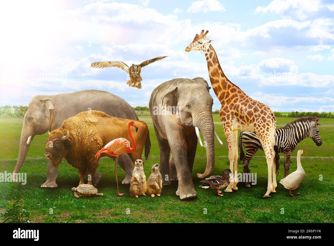Zoo animals different together hi-res stock photography and images - Alamy