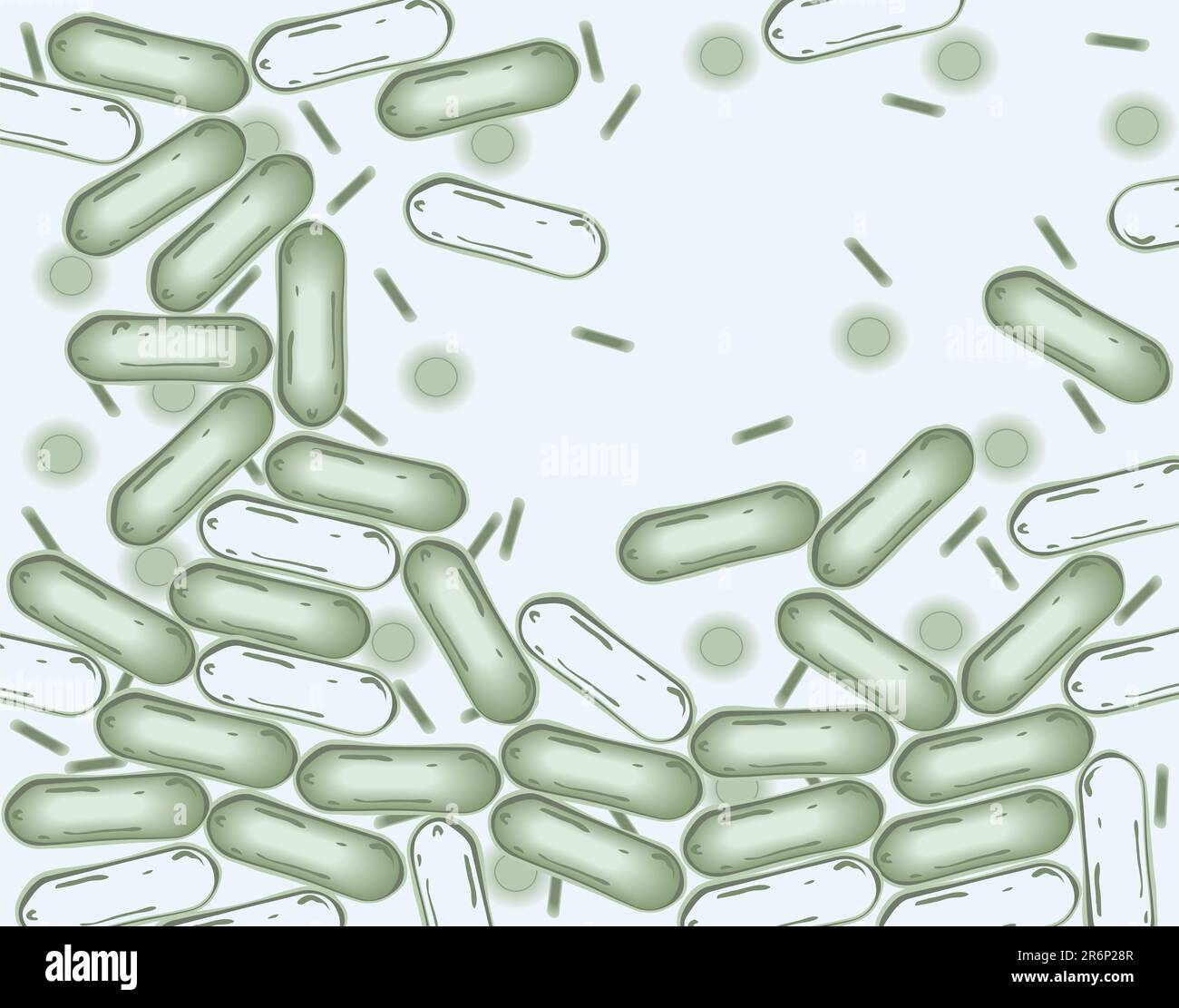 Editable vector illustration of bacteria under a microscope Stock ...