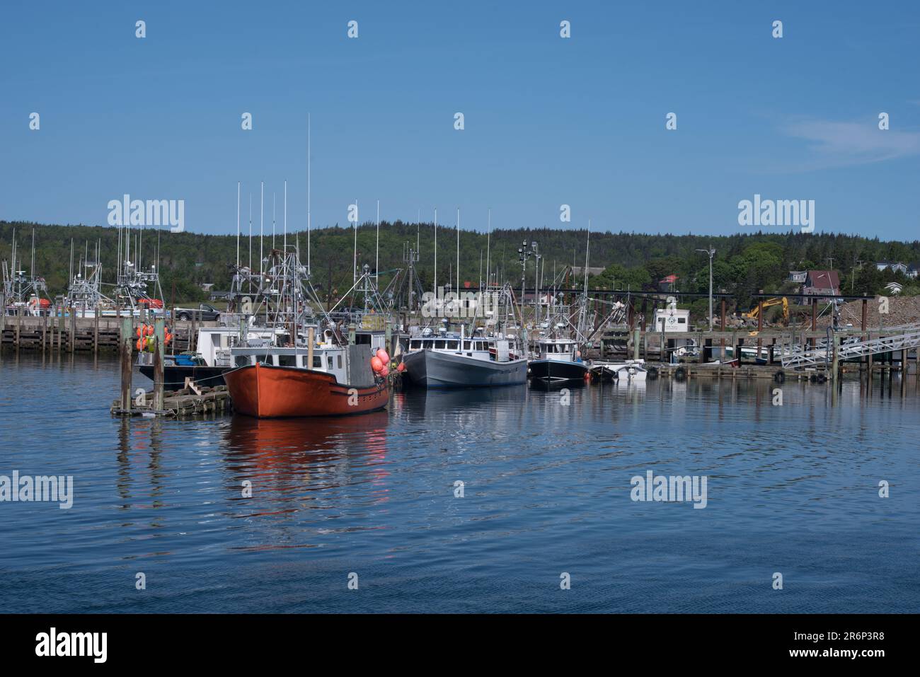 a Fishing Fleet in harbour on Grand Manan New Brunswick Stock Photo - Alamy