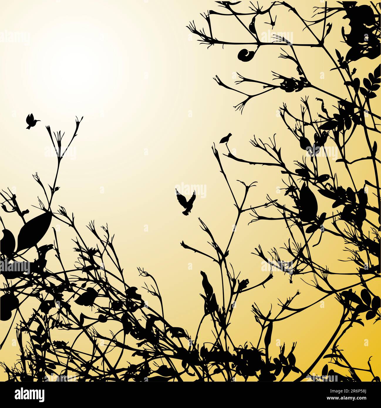 vector silhouette of branches Stock Vector Image & Art - Alamy