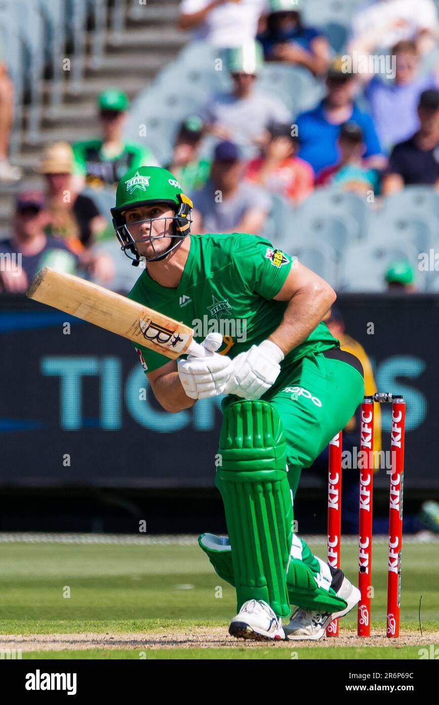 MELBOURNE, AUSTRALIA - JANUARY 18: Hilton Cartwright of Melbourne Stars ...