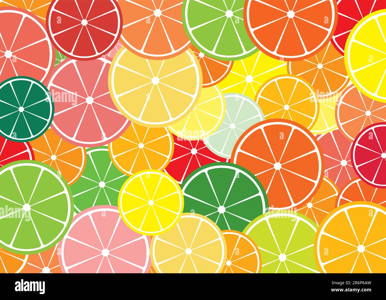 Citrus slices multicolored background. Vector illustration Stock Vector ...