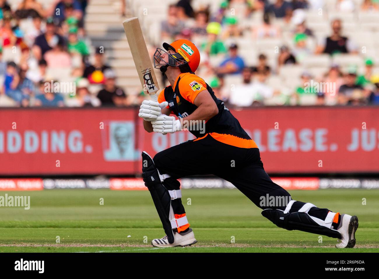 Scorchers bats hi-res stock photography and images - Alamy