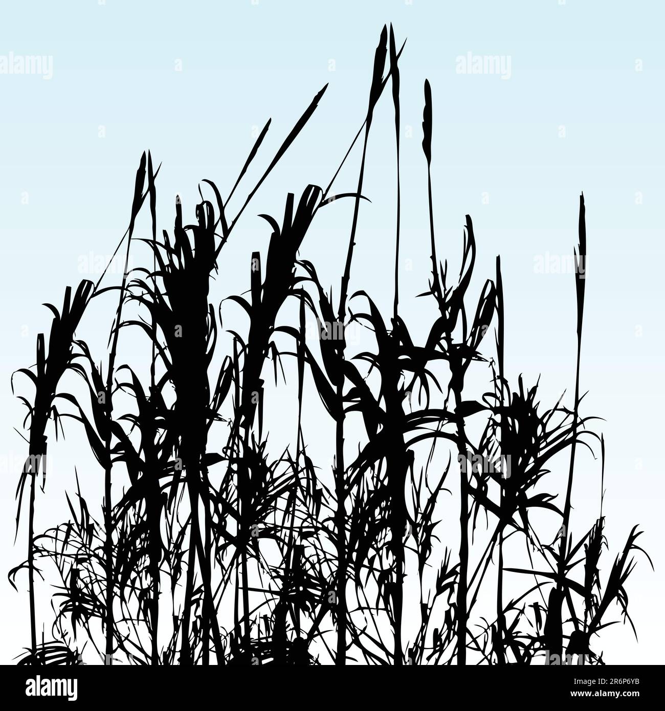 Silhouette reed sunset Stock Vector Images - Alamy