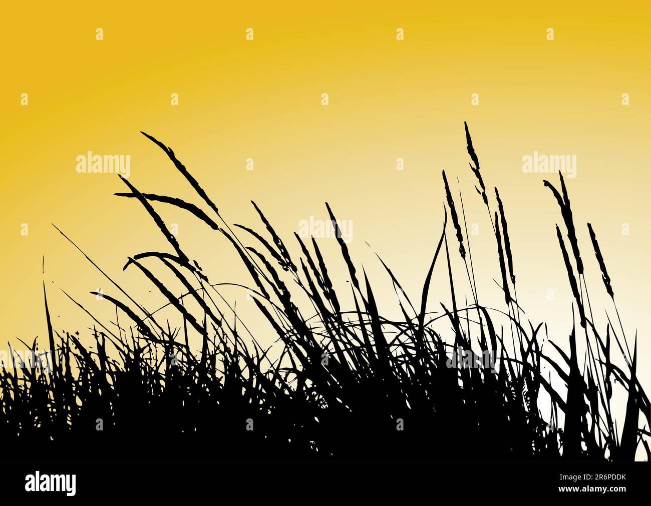 Reed sunset Stock Vector Images - Alamy