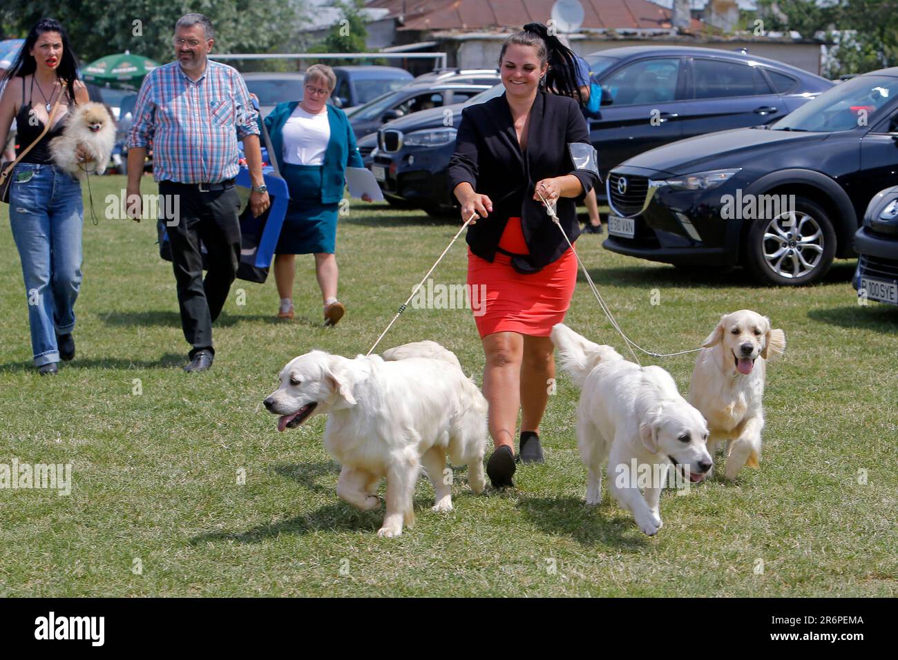 Bucharest, Romania. 10th June, 2023. A woman arrives with her Golden ...