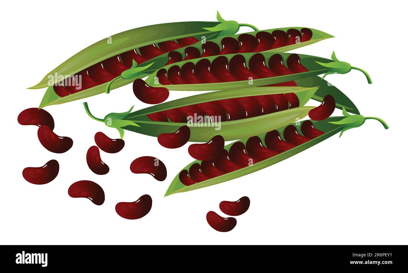 Fresh live Stock Vector Images - Alamy