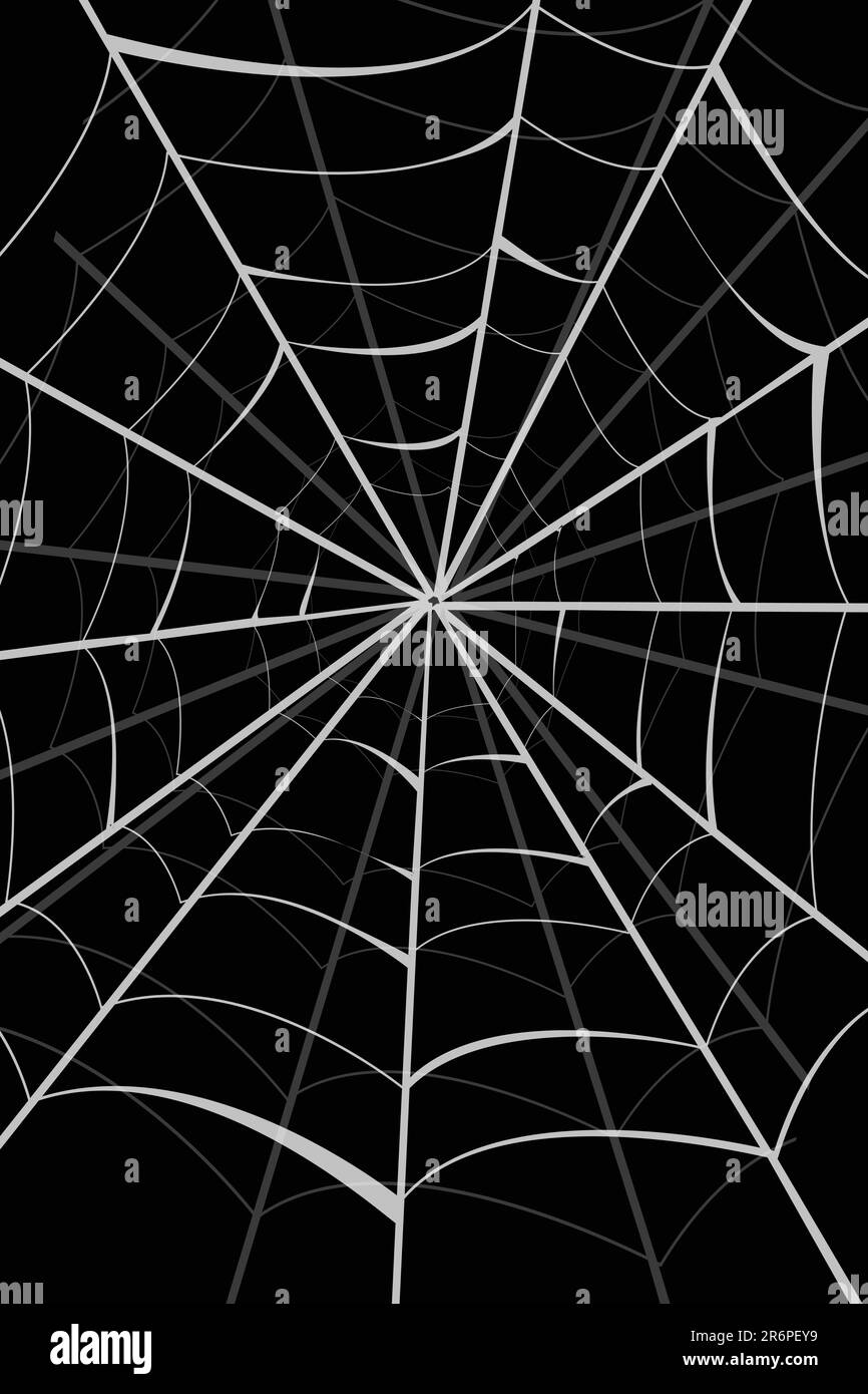 illustration of spider web Stock Vector Image & Art - Alamy