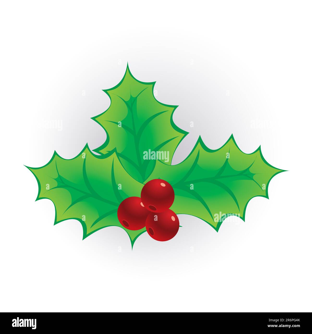 Holly leaf picture Cut Out Stock Images & Pictures - Alamy