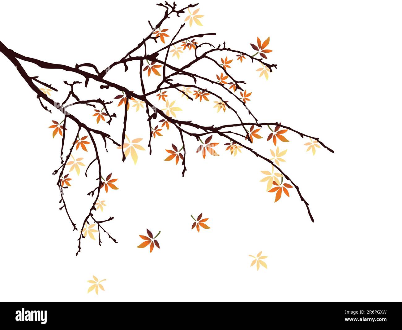 vector eps10 illustration of colorful leaves on a bough Stock Vector ...