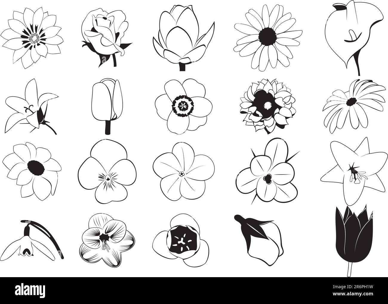 Collection of smooth vector EPS illustrations of various flowers Stock ...