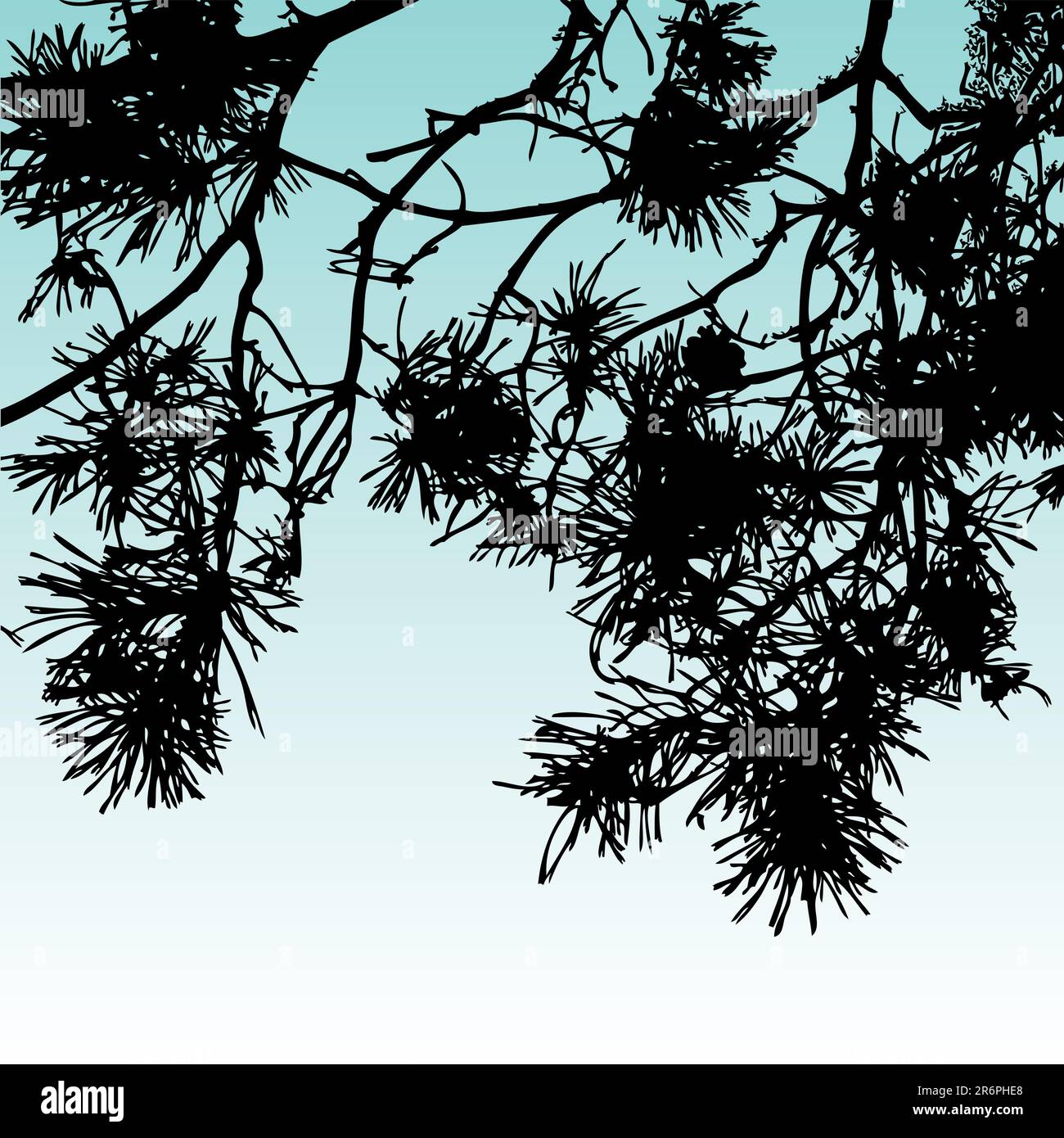 vector silhouette of branches Stock Vector Image & Art - Alamy