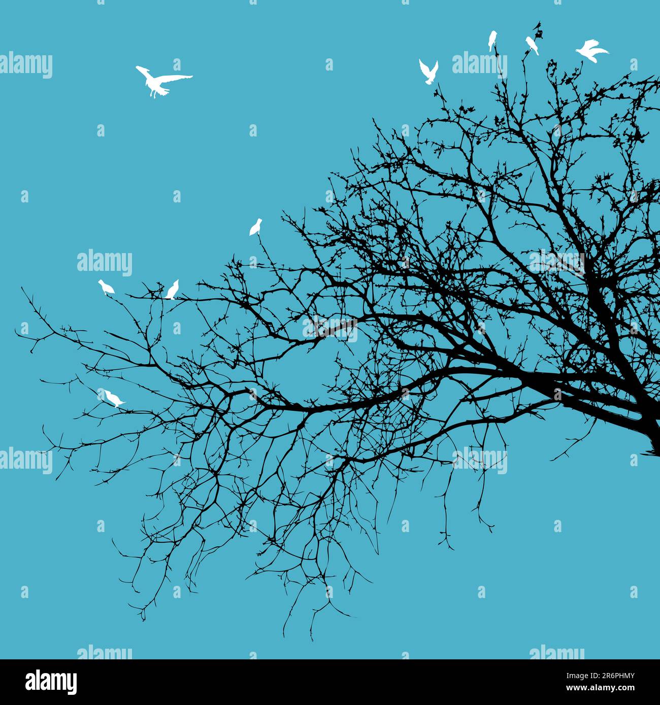 vector silhouette of branches Stock Vector Image & Art - Alamy