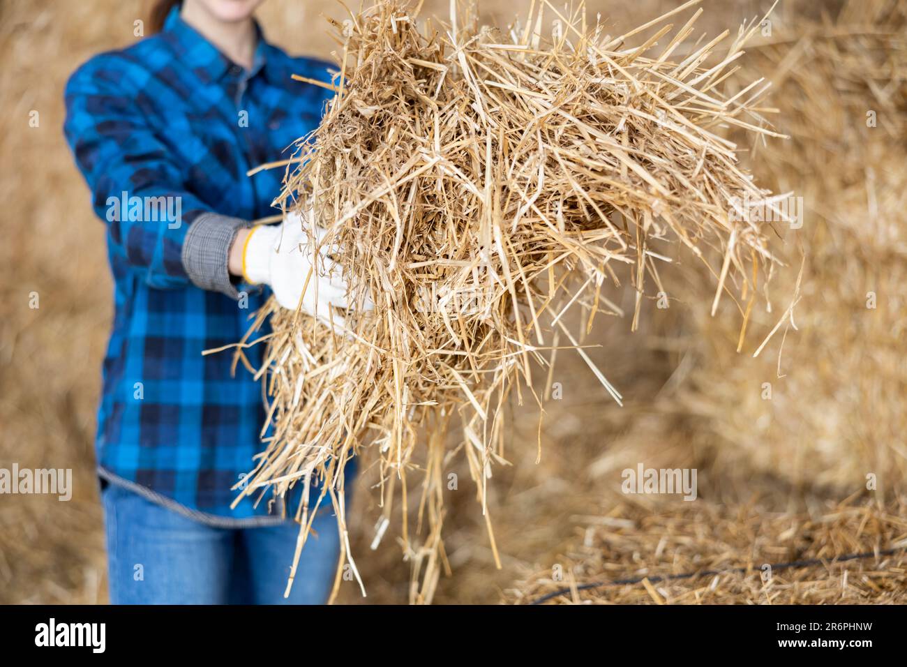 Farmer stacking hay hi-res stock photography and images - Alamy