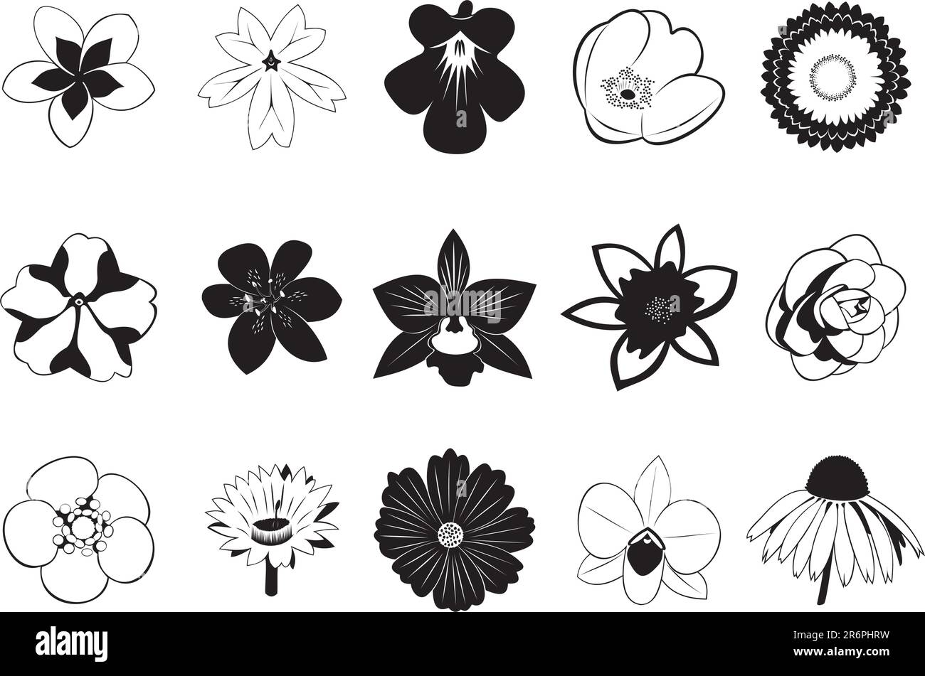 Collection of smooth vector EPS illustrations of various flowers Stock ...