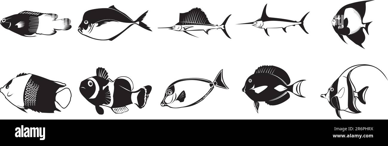 Collection of smooth vector EPS illustrations of various fish Stock ...