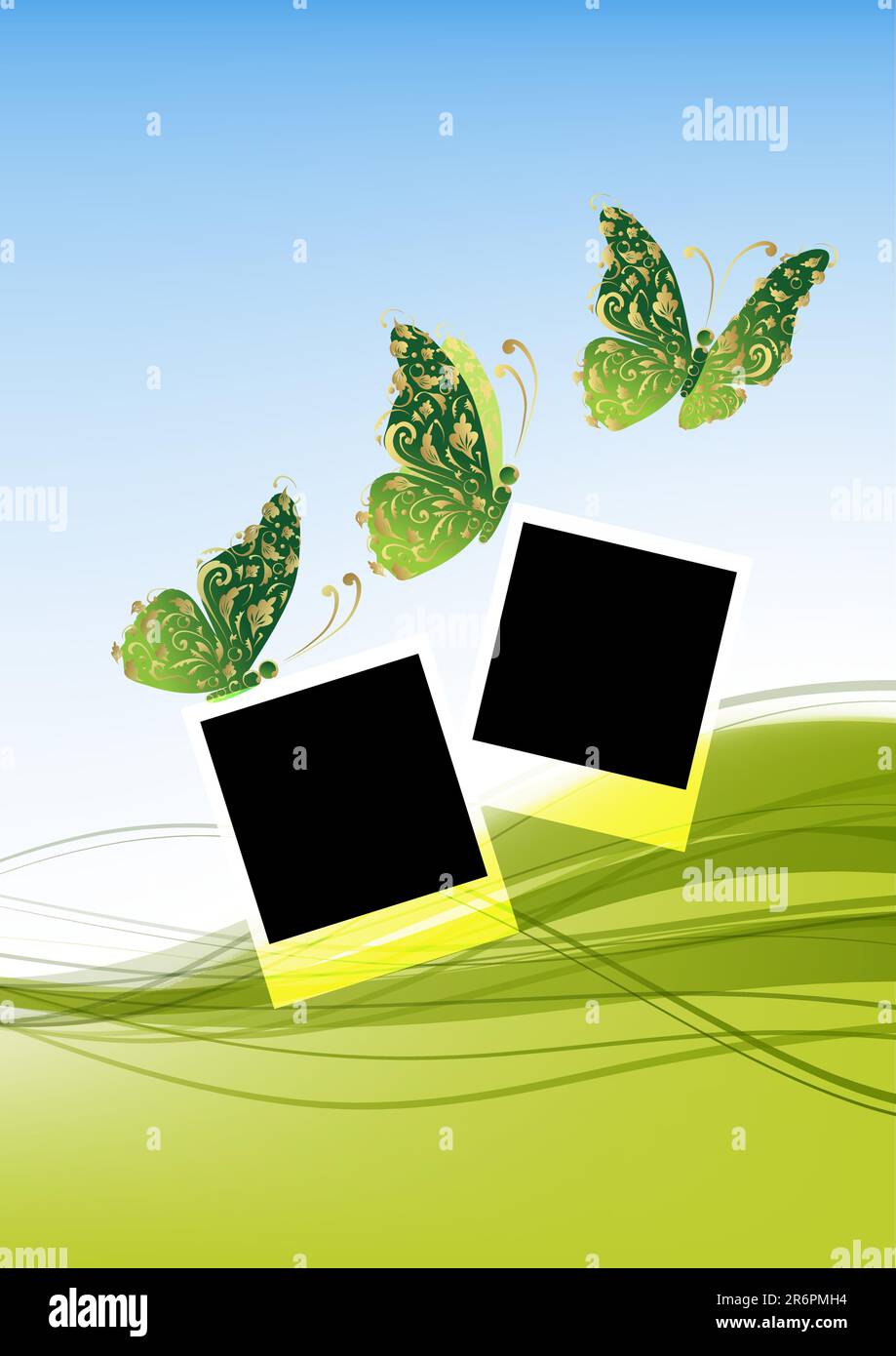 Green background with beautiful butterflies, insert your photos Stock ...