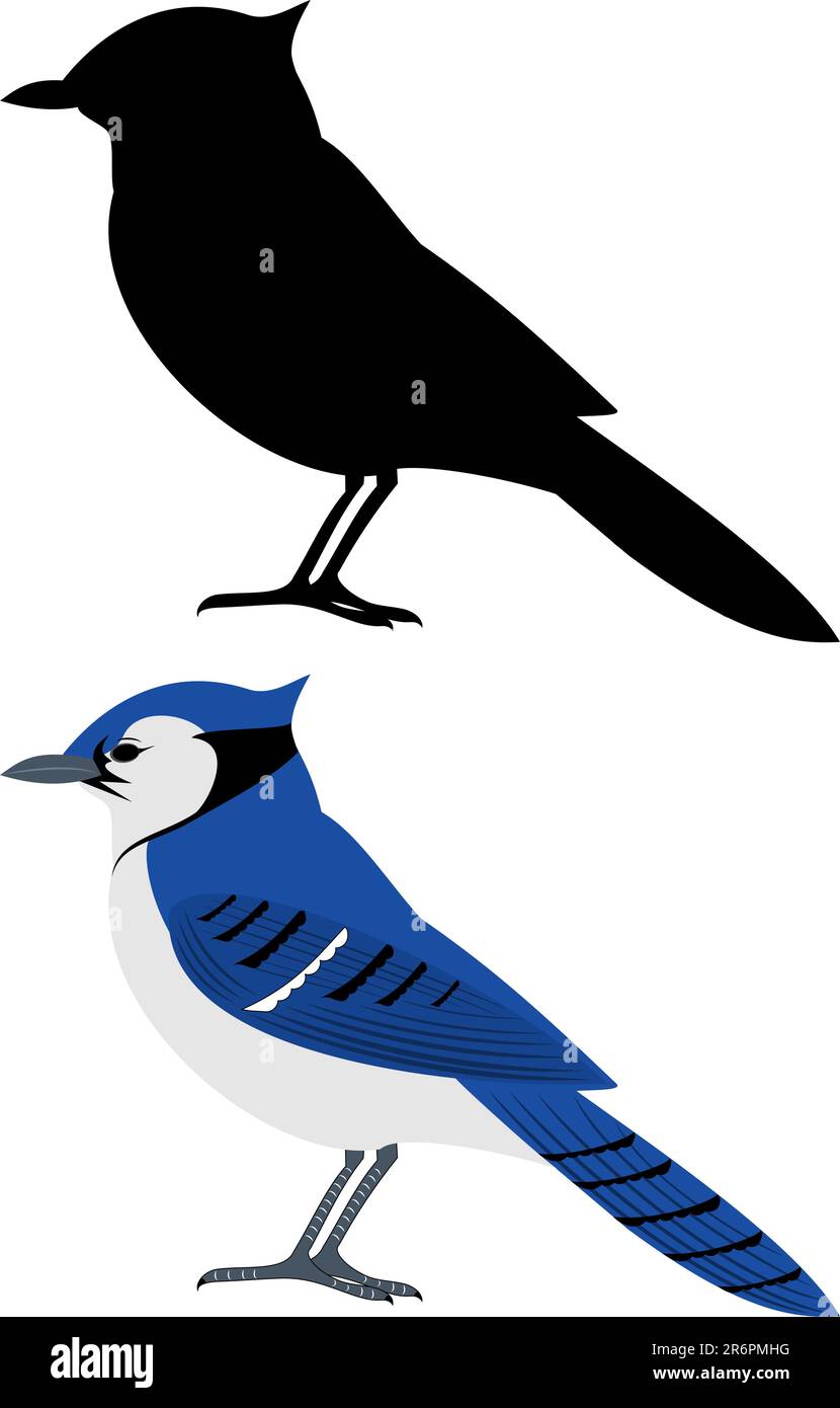 Blue bill black stripe Stock Vector Images - Alamy